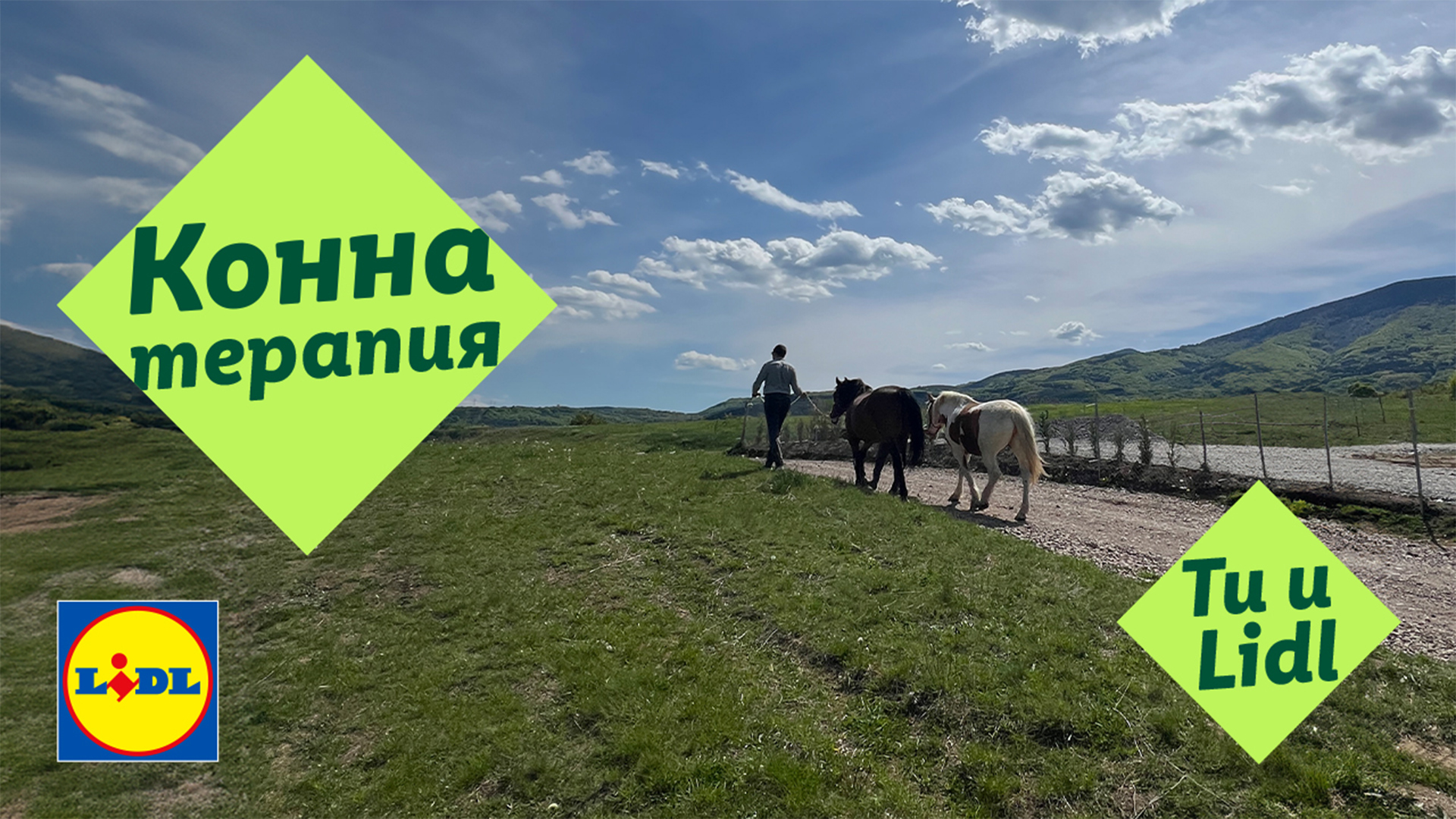 История за надежда: конете, които помагат на деца със специални ...